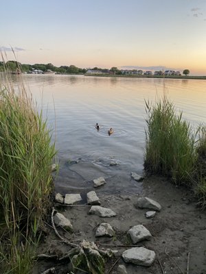 TIGHLMAN BACK CREEK PARK - Updated April 2025 - 21584 Camper Cir ...