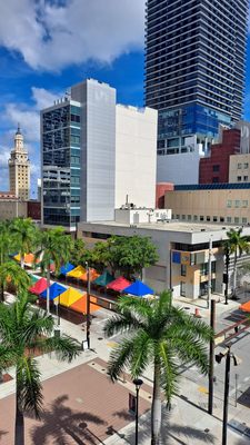 MIAMI DADE COLLEGE - WOLFSON CAMPUS - Updated December 2025 - 79 Photos ...