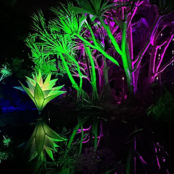 LIGHTSCAPE SAN DIEGO - Updated November 2024 - 189 Photos & 38 Reviews ...