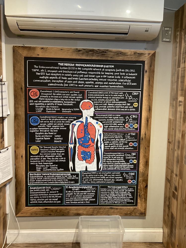 CBD KRATOM - Updated September 2025 - 45 Photos & 18 Reviews - 354 W ...