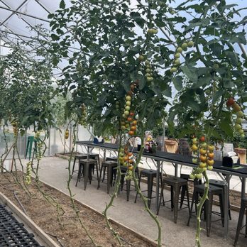 GRIST HOUSE BEER CRIB - Updated October 2025 - 45 Photos & 10 Reviews ...