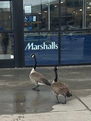 MARSHALLS - Updated January 2026 - 18 Reviews - 2730 S Colorado Blvd ...