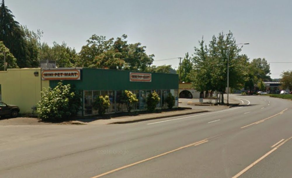 MINI PET MART - Updated December 2025 - 1999 Main St, Springfield ...