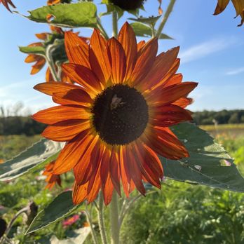 ROCKSIDE WINERY AND VINEYARDS - Updated July 2024 - 116 Photos & 54 ...