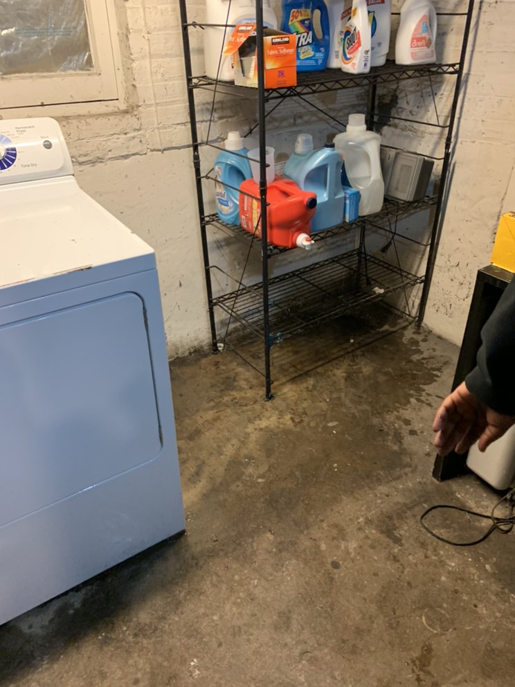 DOUBLE THE TROUBLE CLEANING SERVICE - 16 Photos - Chicago, Illinois ...