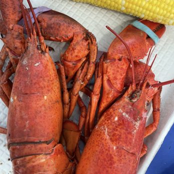 CABBAGE ISLAND CLAMBAKES - Updated December 2025 - 417 Photos & 167 ...