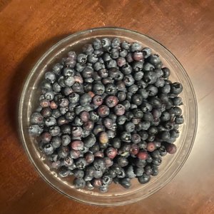 BLAST CORN MAZE - Updated December 2025 - 6175 Daly Rd, Dexter ...