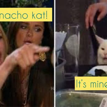 NACHO KAT - Updated January 2025 - 48 Photos & 36 Reviews - 70456 LA-21 ...