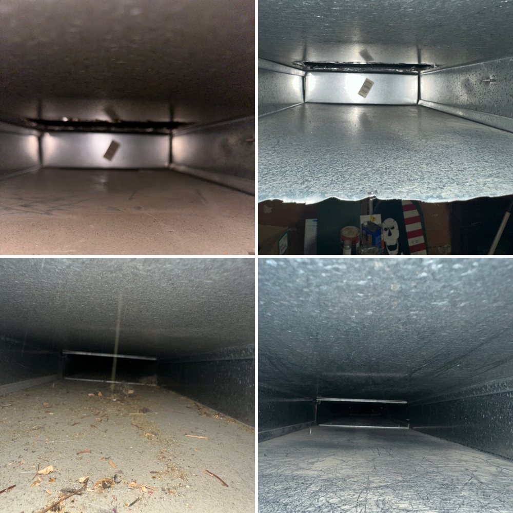 DIRTY DUCKS - Updated July 2024 - Request a Quote - Springfield, Ohio ...