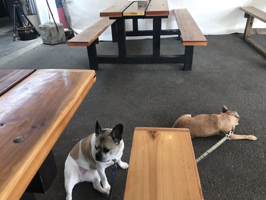 BLACK KETTLE BREWING - Updated December 2025 - 51 Photos & 46 Reviews ...