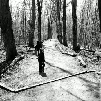 MITCHELL MEMORIAL FOREST - Updated November 2025 - 78 Photos & 10 ...