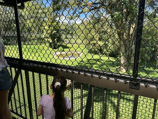 PANA’EWA RAINFOREST ZOO & GARDENS - Updated November 2024 - 780 Photos ...