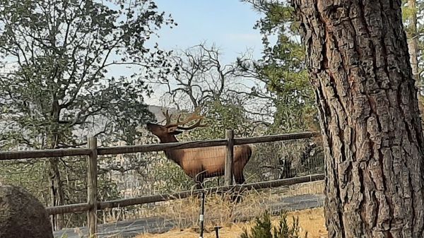 STALLION SPRINGS - Updated October 2025 - 39 Photos - Stallion Springs ...