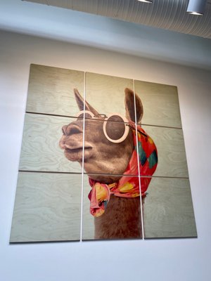 READY SET FUN - Updated July 2025 - 30 Photos & 33 Reviews - 6331 ...