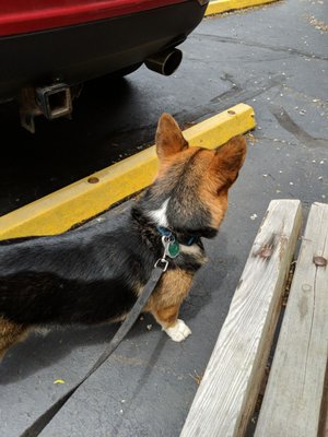 A2 AUTO GLASS - Updated September 2025 - 12 Photos & 63 Reviews - 745 S ...