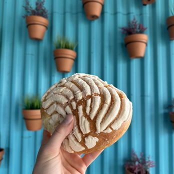 CASA AZUL COFFEE - Updated September 2024 - 107 Photos & 54 Reviews ...