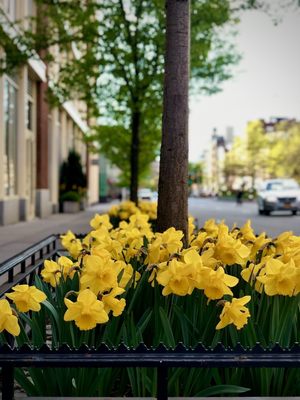 SOHO - Updated May 2024 - 377 Photos & 82 Reviews - New York, New York ...