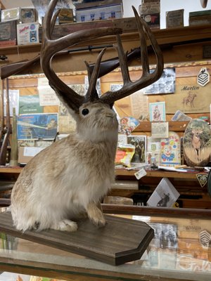 SINGLETON’S GENERAL STORE - Updated August 2024 - 46 Photos & 46 ...