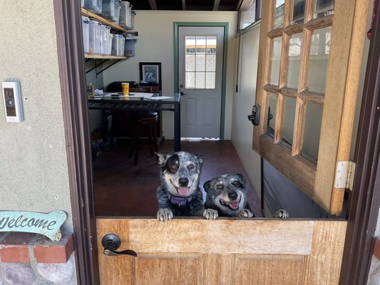 FOUR PAWS INN - Updated July 2025 - 26 Reviews - 20291 Riverside Dr ...