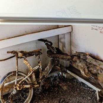 BRANCH DAVIDIAN SEVENTH-DAY ADVENTIST ASSOC - Updated January 2026 - 73 ...