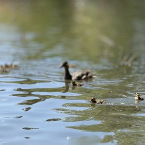 GRAND SIERRA BEER & CHILI FESTIVAL - Updated November 2025 - 395 Photos ...