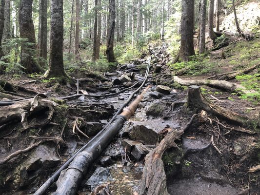 BCMC GROUSE TRAIL - Updated November 2024 - 25 Photos - 6400 Nancy ...