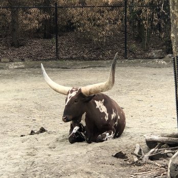 ROGER WILLIAMS PARK ZOO - Updated October 2025 - 1377 Photos & 313 ...