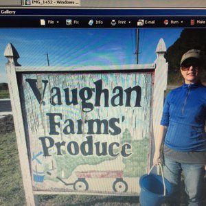 VAUGHAN FARMS’ PRODUCE - 1258 Princess Anne Rd, Virginia Beach ...