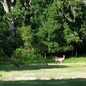 CULLEN PARK - 39 Photos & 27 Reviews - 19008 Saums Rd, Houston, Texas ...