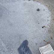 ROSEMEADE RAINFOREST AQUATIC COMPLEX - 46 Photos & 43 Reviews - 1334 E ...