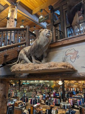 BASS PRO SHOPS - Updated August 2025 - 335 Photos & 222 Reviews - 7970 ...