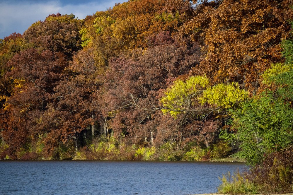 POKAGON STATE PARK - 77 Photos & 33 Reviews - Parks - 450 Ln 100 Lake ...