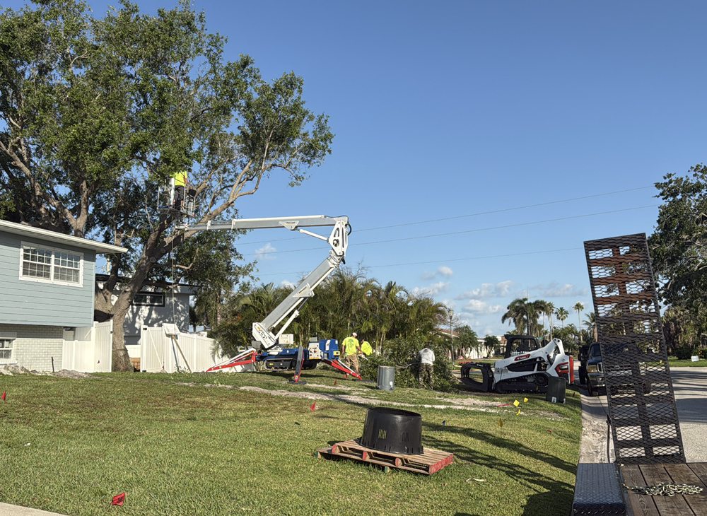 ESSENTIAL TREE SERVICE - Updated August 2025 - 81 Photos & 13 Reviews - Largo, Florida - Tree ...