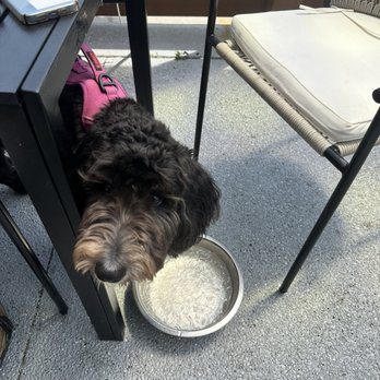 CHOMP - Updated August 2024 - 279 Photos & 327 Reviews - 200 S Main St ...