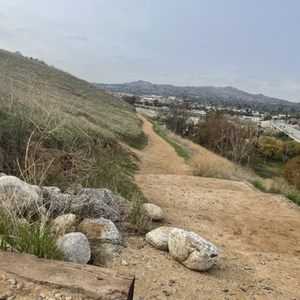 REID PARK - 22 Photos & 12 Reviews - 800 N Orange St, Riverside, CA - Yelp