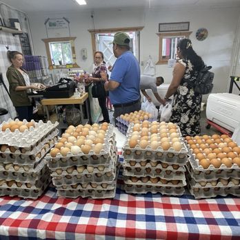 MAUST’S CALIFORNIA POULTRY - Updated December 2024 - 194 Photos & 112 ...