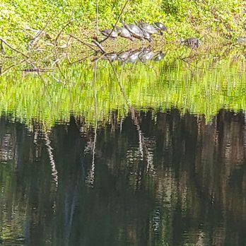 MOCCASIN LAKE NATURE PARK - Updated December 2025 - 173 Photos & 21 ...