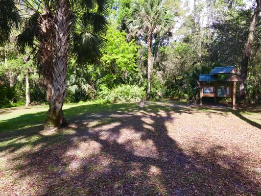 WELAKA STATE PARK - MUD SPRINGS - Updated August 2025 - 10 Photos ...