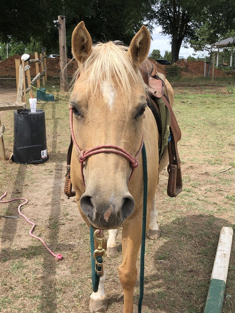 SUN AND MOON RANCH - Updated October 2025 - 1816 Lamb Rd, Lexington ...