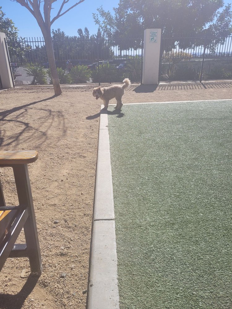 OTAY RANCH TOWN CENTER DOG PARK - Updated October 2025 - 74 Photos & 66 ...