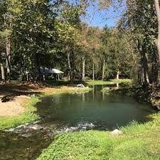 LIMESTONE SPRINGS FISHING PRESERVE - Updated July 2025 - RR 1, Richland ...