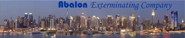 ABALON EXTERMINATING - Updated July 2025 - 22 Reviews - 261 5th Ave ...