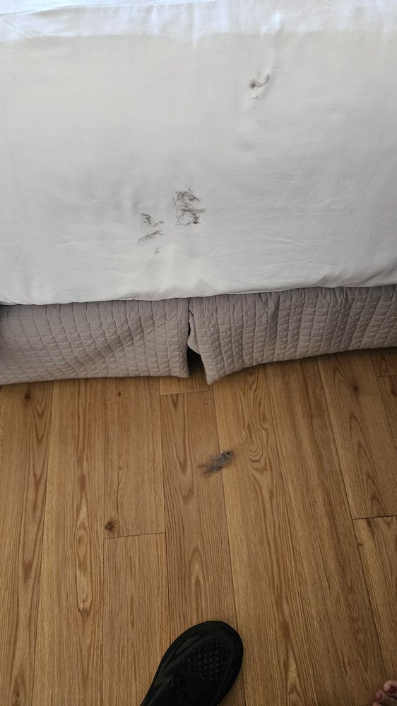 NOYO HARBOR INN - Updated June 2025 - 190 Photos & 101 Reviews - 500 ...