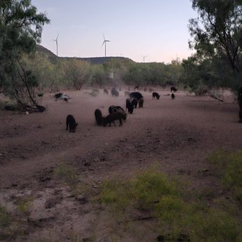 DOS PLUMAS HUNTING RANCH - Updated January 2026 - 64 Photos & 11 ...