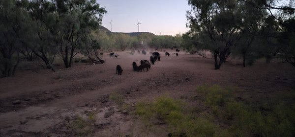 DOS PLUMAS HUNTING RANCH - Updated July 2025 - 49 Photos & 10 Reviews ...