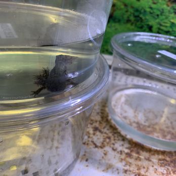 PET BAZAAR - Updated June 2024 - 66 Photos & 72 Reviews - 490 State Rd ...