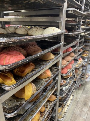 KATHY’S BAKERY BROS. - Updated December 2024 - 15 Photos & 32 Reviews ...