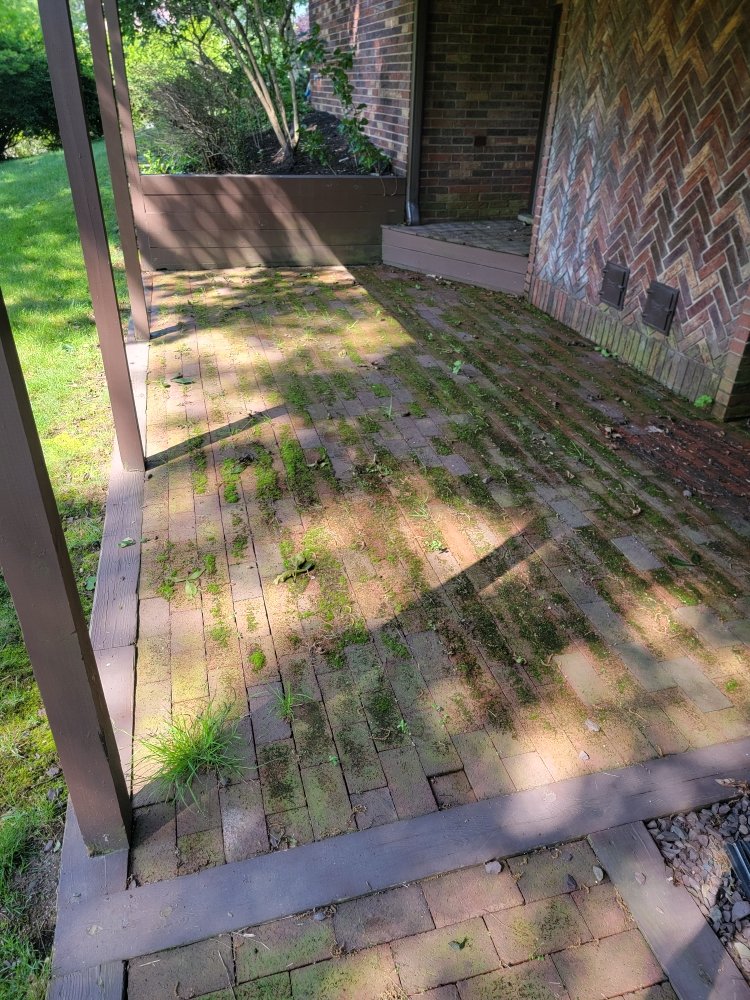 PRECISION PROS POWER WASHING - Request a Quote - Courtdale ...