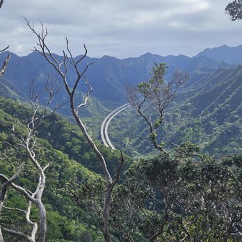 AIEA LOOP TRAIL - Updated January 2025 - 1411 Photos & 313 Reviews - 99 ...
