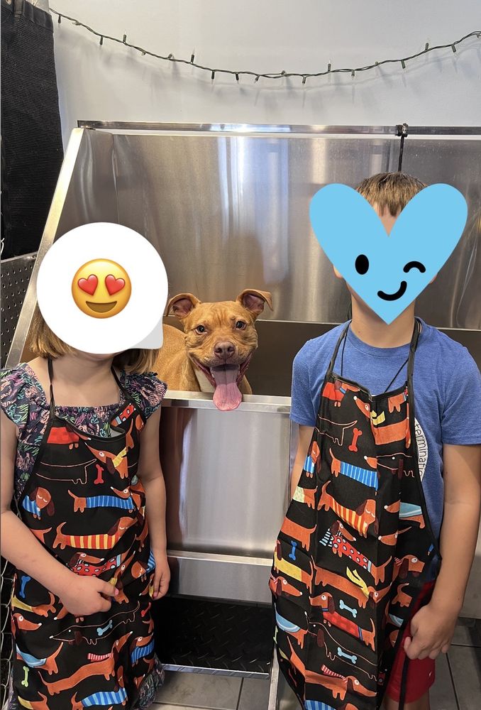 Ruff Waters Dog Wash - Trusted Since 2021 - Updated July 2025 - 22 ...